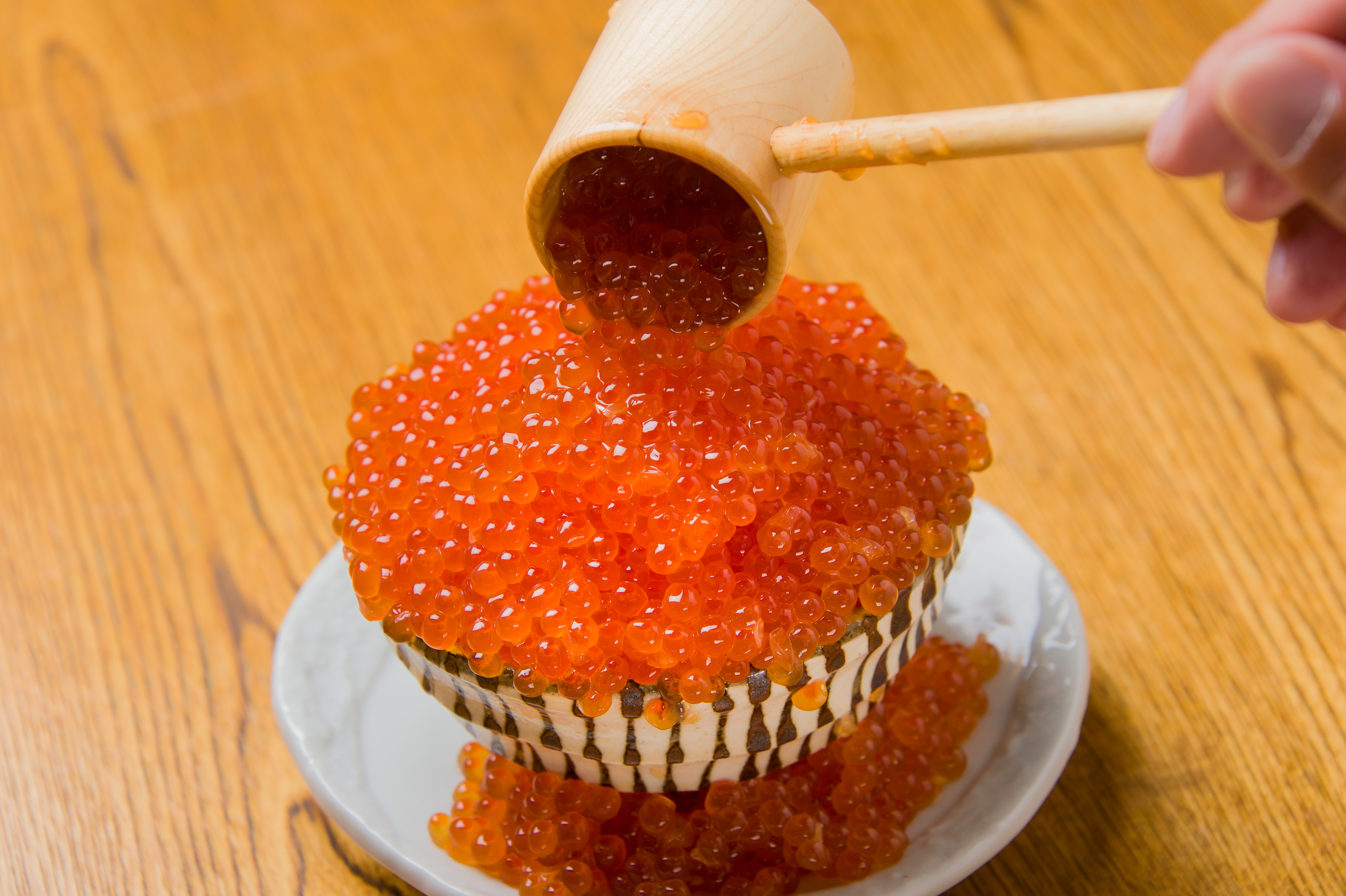 Bite!Japan | Bite!Japan